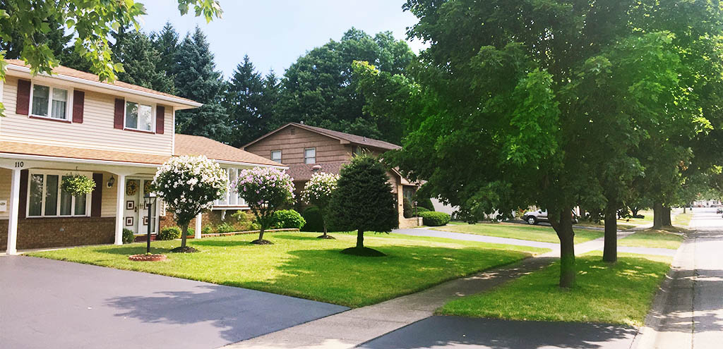 Culver Meadows – Irondequoit Neighborhoods